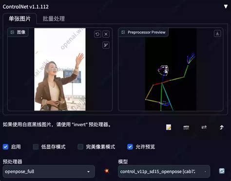 SDControlNet V 预处理器模型使用教程 中 openAI维基百科