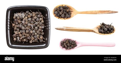 Set Of Various Tailed Pepper Cubeb Isolated Stock Photo Alamy