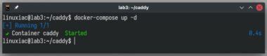 How To Set Up Caddy As A Reverse Proxy