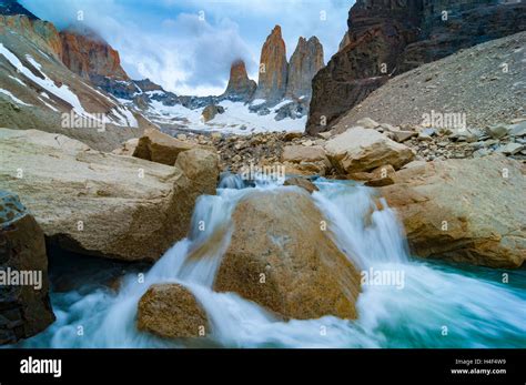 Arboles Del Parque Nacional Torres Del Paine Chile Sudamerica Hi Res