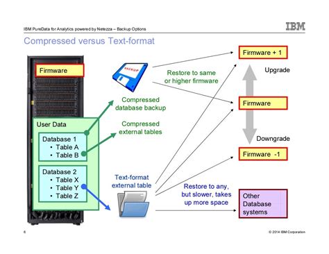 Backup Options For Ibm Puredata For Analytics Powered By Netezza
