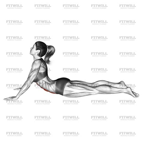 Lying Prone Abdominal Stretch Exercise Guide Video Techniques