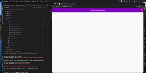 WEB Unusable On Pre Or Higher Using Web Renderer Html Issue