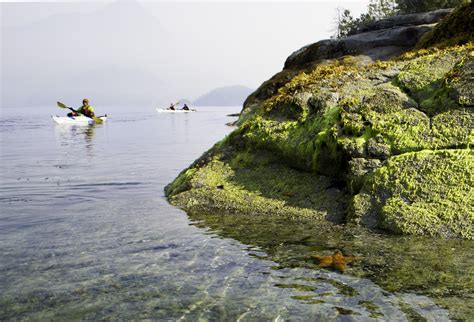 Photo And Video Submissions 2018 Spirit Of The West Adventures