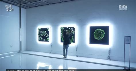 [문예현장] 대구예술발전소 기술융합 전시 관람 포인트는