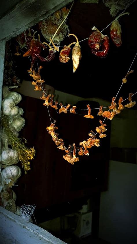 კერა ს Guest House Kera საოჯახო სასტუმრო კერა