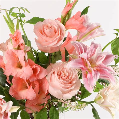 어니스트플라워 스타일링 장미와 함께 플라밍고