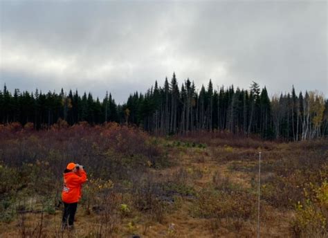 Watch Inside An Indigenous Moose Hunt Cbc News