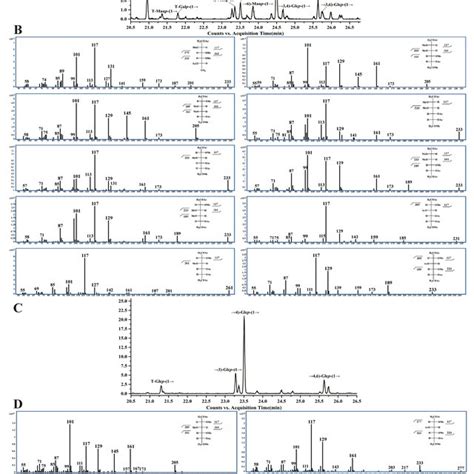 Methylation And Gcms Analysis Of Tsltp A Extraction Ion Gas