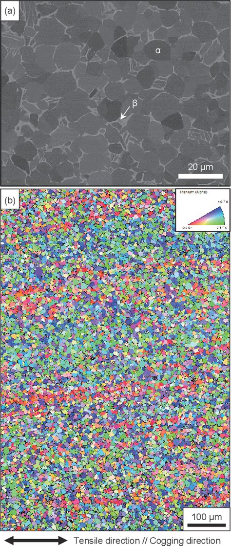 Figure 2 From Dislocation Motion And Microstructure Evolution Deformed