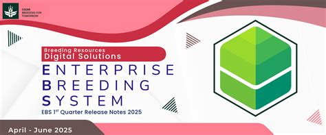 Ebs Q2 Release Notes 2025 Digital Solutions