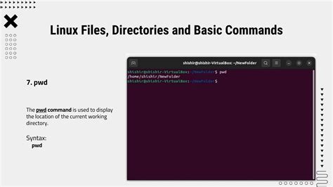 Lab 3 Linux Files Directories And Basic Commandspptx Operating Systems Computer Software