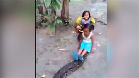 Shocking News ਇਨ੍ਹਾਂ ਨਿਡਰ ਬੱਚਿਆਂ ਦੀਆਂ ਹਰਕਤਾਂ ਦੇਖ ਤੁਸੀਂ ਵੀ ਹੋ ਜਾਓਗੇ