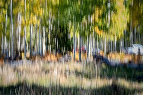 Leaf Peeping Melinda Anderson Photography