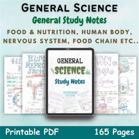 Newtondesk The Aesthetic Way Of Learning