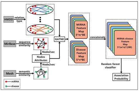 An Illustration Of Predicting Multiple Types Of Mirna Disease