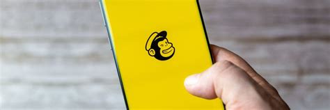 alternatieven voor Mailchimp wél GDPR proof Frankwatching