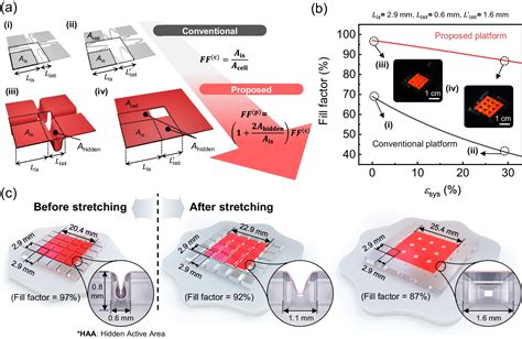 Advancing Stretchable Oled Displays Enhancing Wearable Tech And Health Devices Display Daily
