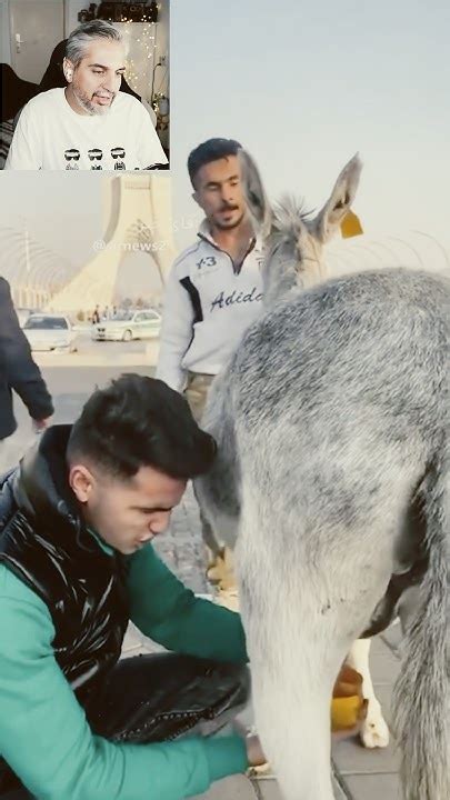 شیر خر وسط میدون آزادی😳🫏 Youtube