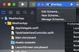 Xcode Better Way Of Incrementing Build Number Stack Overflow