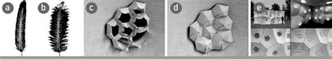 Hydroceramic Project Source Available From Download Scientific