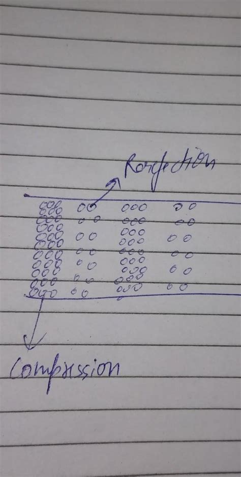 2 Describe With The Help Of A Diagram How Compressions And Rarefactions Are Produced In Air