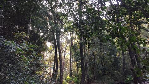 Phiphidi Waterfall 2025 All You Need To Know Before You Go With Photos