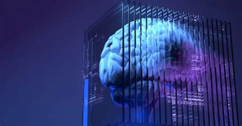 Programowanie Umysłu Sztuka Mind Hackingu Siła Umysłu