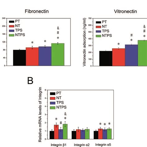 Specific Protein Adsorption And Integrin Expression On Different Download Scientific Diagram