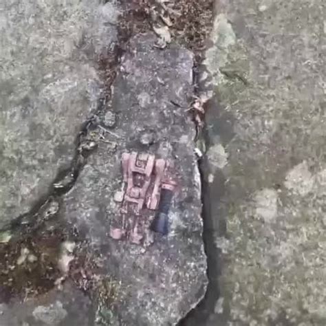 A Fossil Meme By Knot Daddy Memedroid