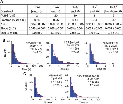 Figure Supplement 3 Analysis Of Dna Translocation Step Sizes Of Download Scientific Diagram