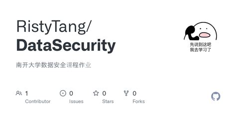GitHub RistyTang DataSecurity 南开大学数据安全课程作业