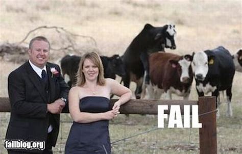 Epic Fails Part 5 107 Pics