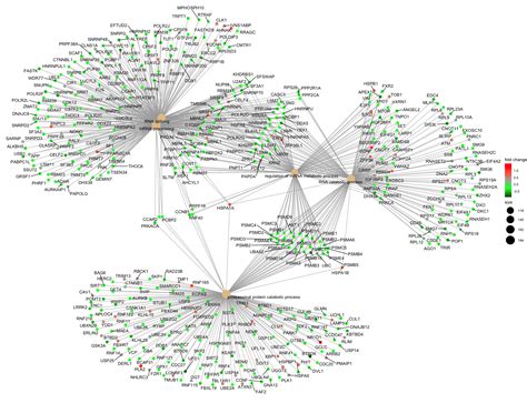 Functional Analysis For Rna Seq Training Modules