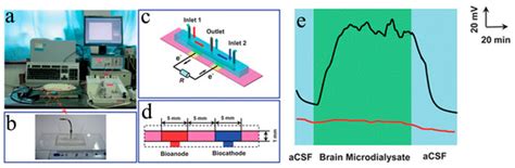 Miniaturized Microfluidic Electrochemical Biosensors Powered By Enzymatic Biofuel Cell