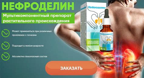 НЕФРОДЕЛИН для почек🔴 КУПИТЬ препарат или заказать в аптеке | Средства ...