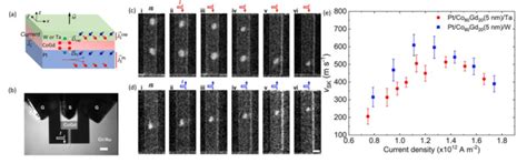 A Schematic Representation Of The Ptcogdwor Ta Films Where