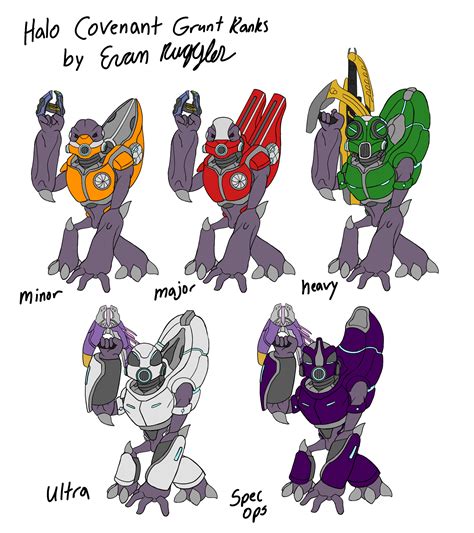 Halo Covenant Ranks In Order