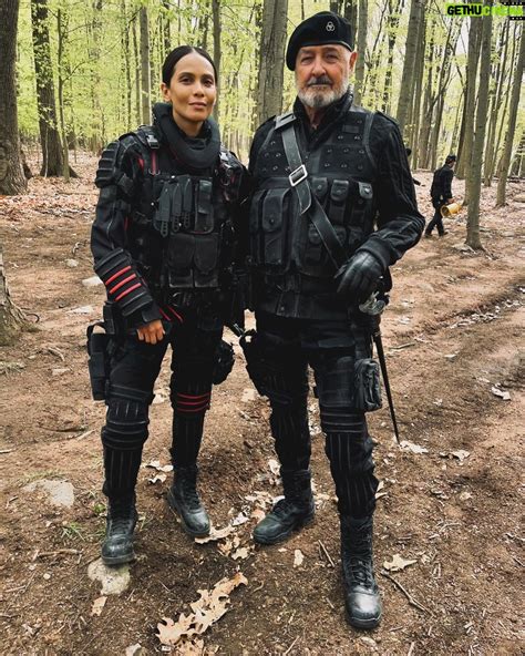 Lesley Ann Brandt Wiki Biography Age Gallery Spouse And More