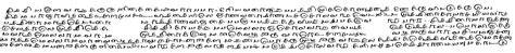 Collage Collage Rsyqg Roboflow Universe