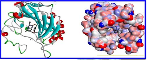 Two Day International Workshop On “molecular Docking From Theory To