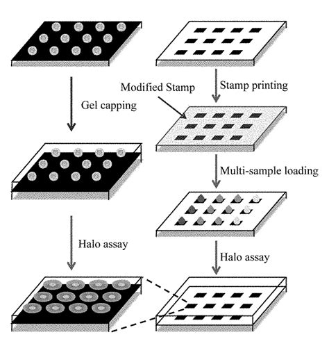 Disposable Single Cell Array For Personalized Diagnostics Eureka