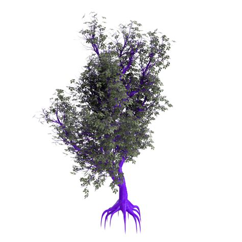 Tree Isolated On Transparent 21280780 PNG Tree Isolated On Transparent 21280780 PNG