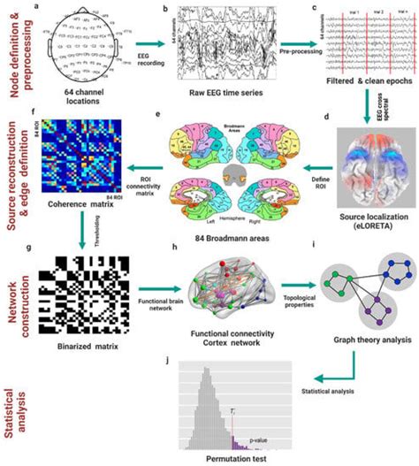 Brain Network Visualization