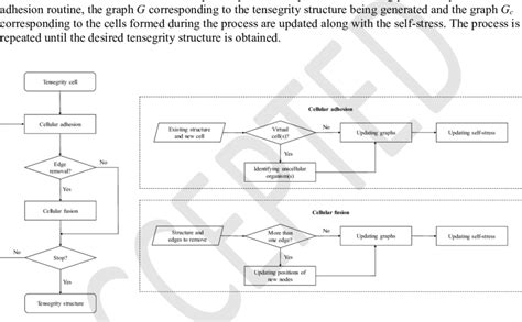 Flow Chart Of The Cellular Morphogenesis Process Download Scientific
