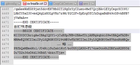 vs2017 git ssl 憑證無效問題 黑暗執行緒