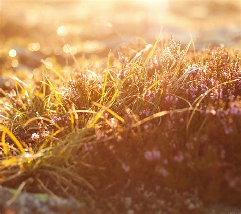 Difference Between Stringindexoutofboundsexception And Arrayindexoutofboundsexception In Java