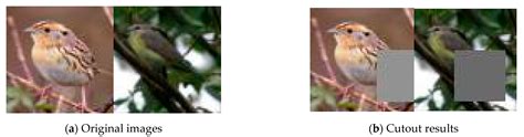 Image Generation From Text Using Stackgan With Improved Conditional