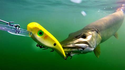 Musky Lures Lee Lures Custom Baits