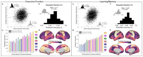 Functional Topography Of Association Networks Predicts Individual